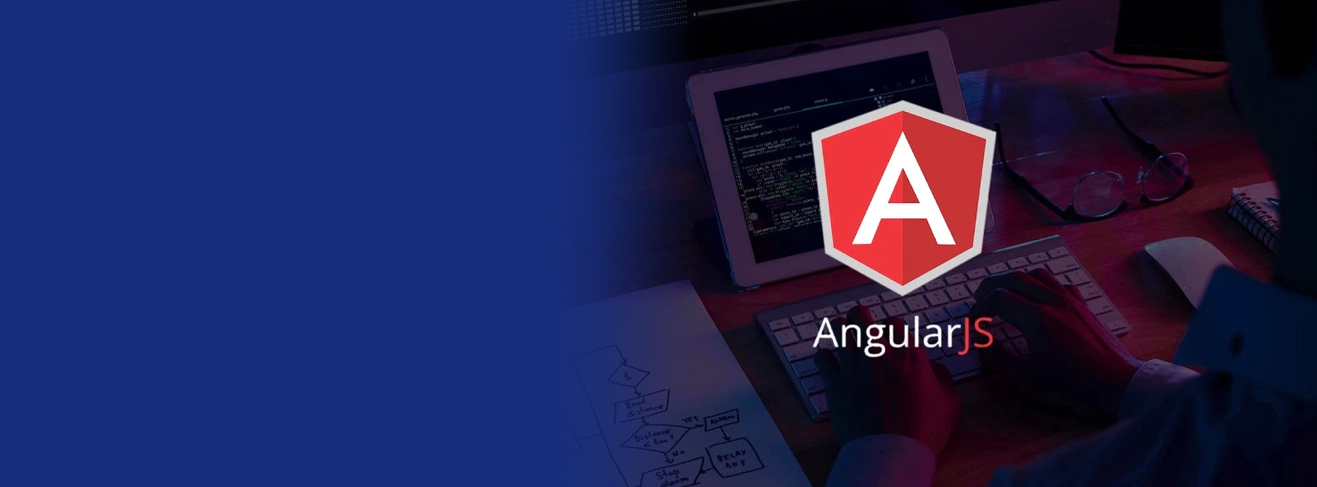 Hire A AngularJS Developer In Faridabad | STS Digital Solutions